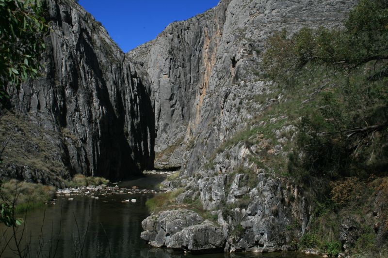 17-19 March 2007 Cave Creek Canyon and Dead Horse Gap - 1 Clarke Gorge ...