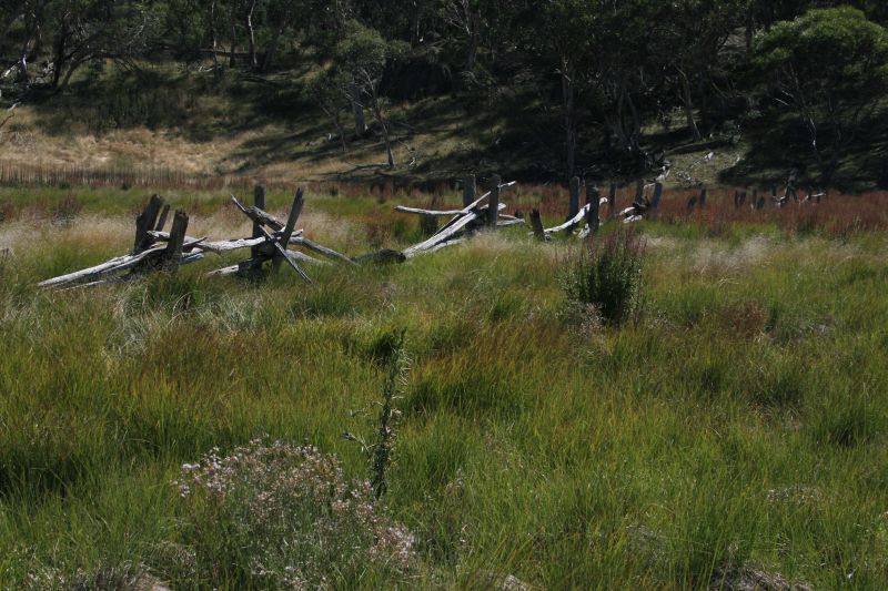 18 March 2008 Southern Namadgi European Structures - 06 Fork fencing at ...
