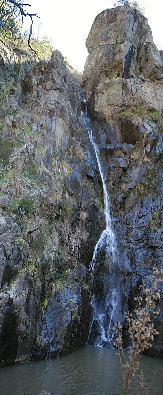 2 September 2008 Mt Coree and Coree Falls - 3 Coree Falls